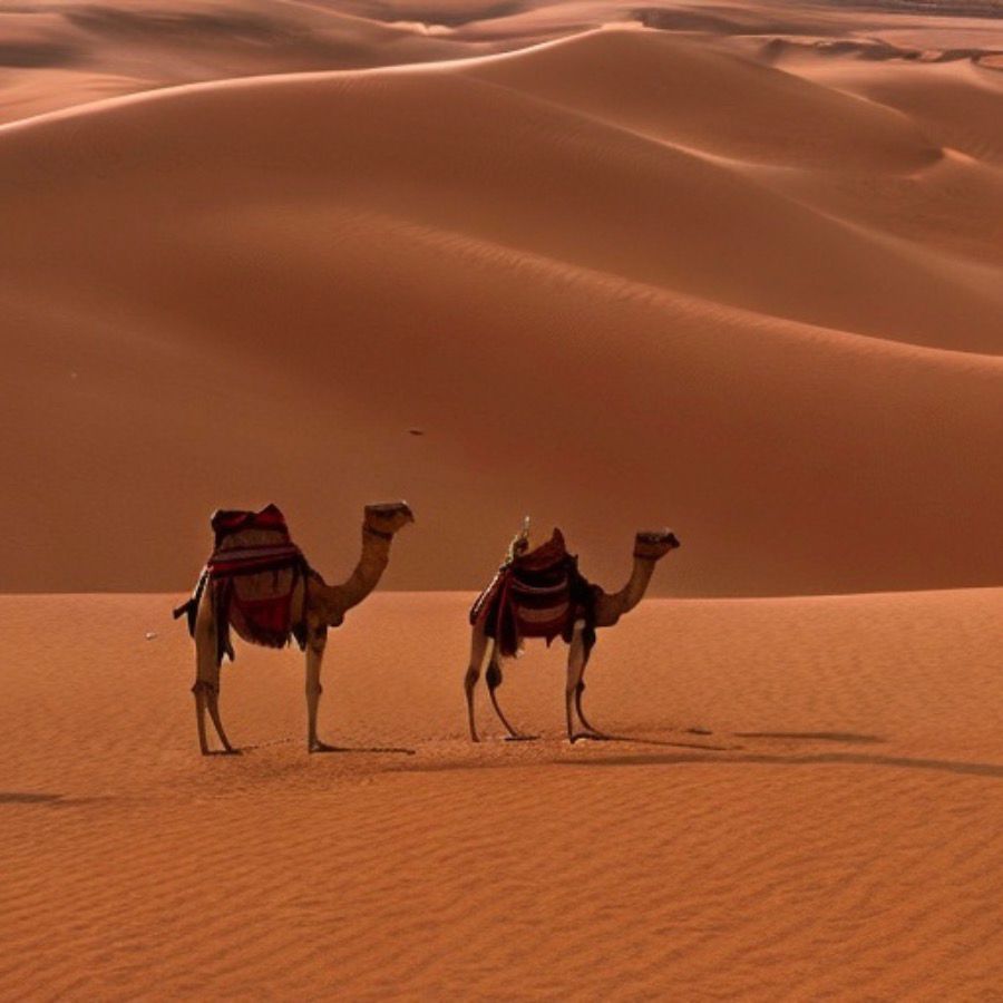 The Sahara Desert Trivia Quiz